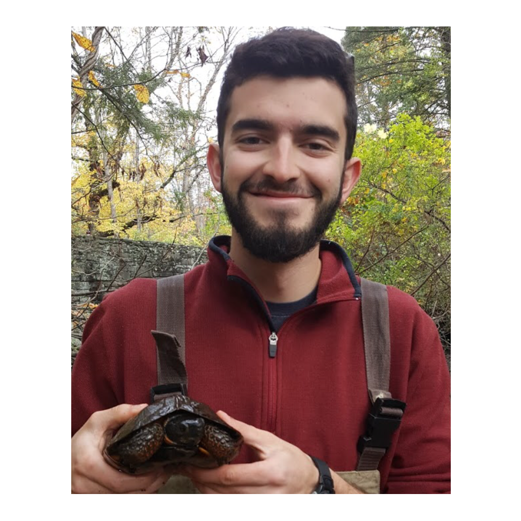 Johnathan Clementi | Weitzman