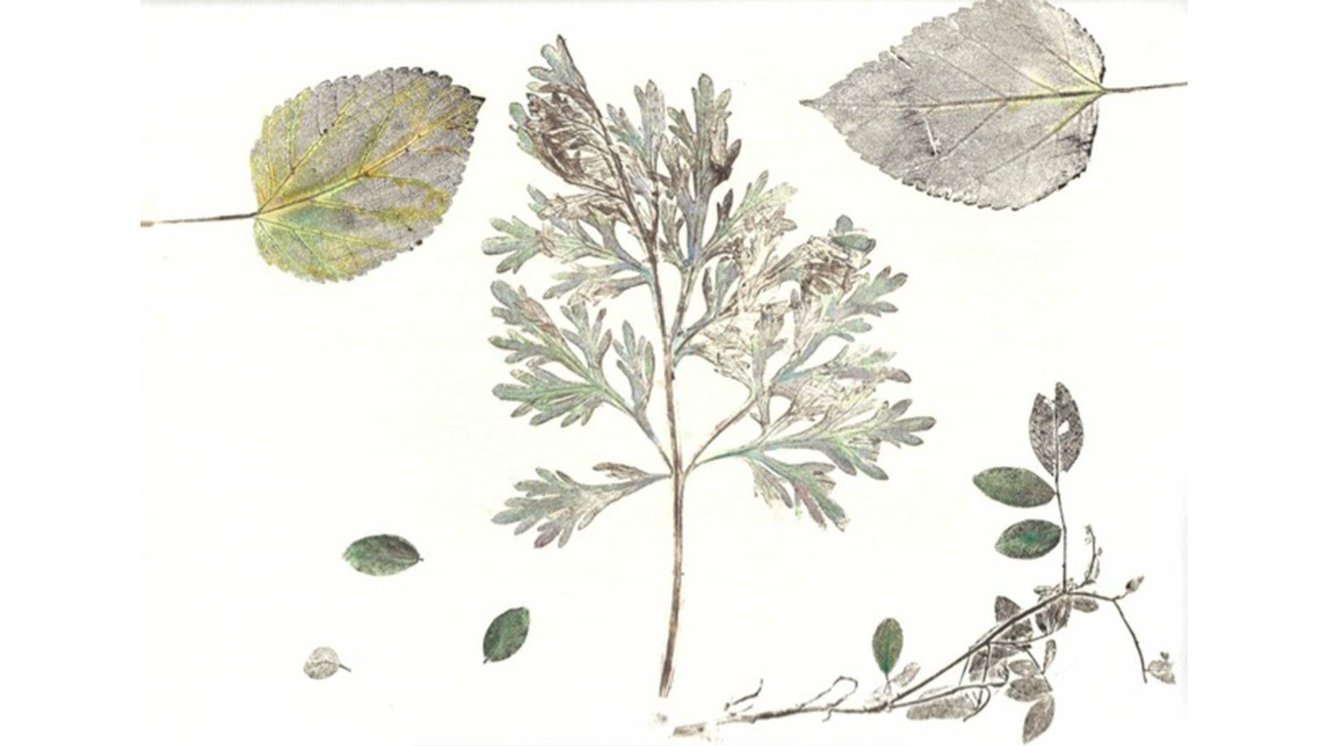 Reading and Writing a Garden, Materials of a Garden Made in Germantown ...